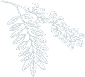 Reef Guard - Premium Custom Aquarium Lids